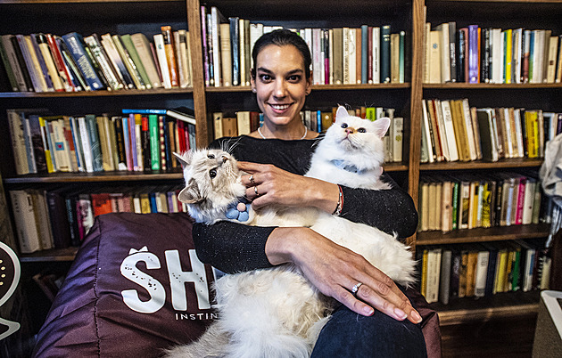 Kočky místo prášků. V Česku roste zájem o felinoterapii - iDNES.cz