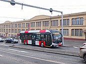 Skibidi, rizz, sigma? Slovník nejmladší generace přehledně - Metro.cz