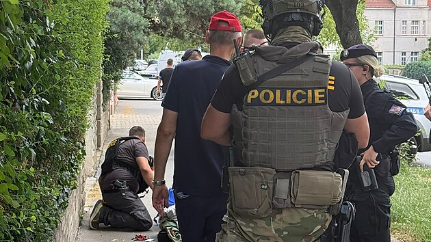 Dopaden. Nebezpečného muže zadržela policie ve Strašnicích, šlo o ...