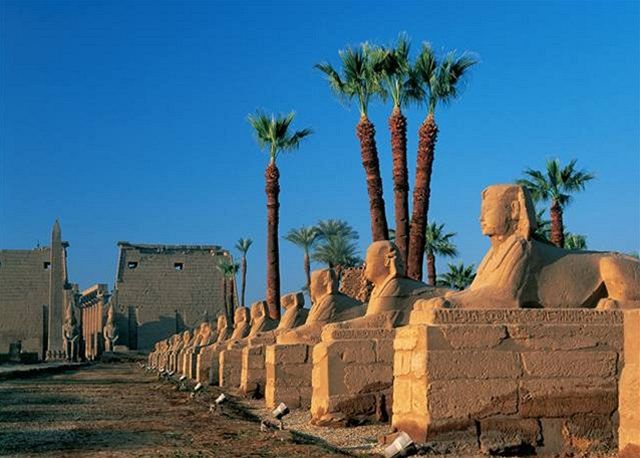 Češi větří slevy: lety do Egypta jsou vyprodány, čekají i náhradníci ...