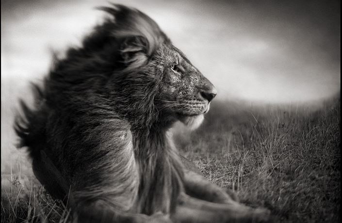 Sebastiao Salgado. Praha hostí další velkou výstavu světového formátu ...
