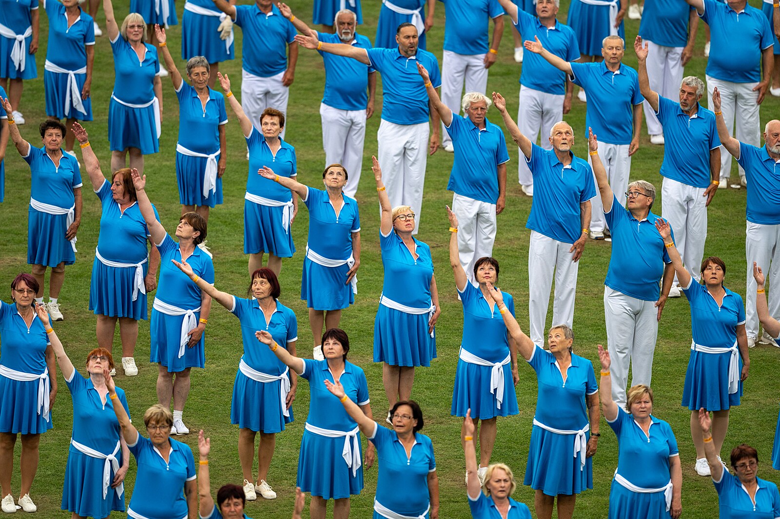 Jak jsem cvičil na sletu. Zachránilo mě vzorové video, naštěstí tu máme ...