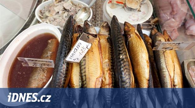 Populace makrely obecné se blíží k bodu zlomu, lidé by měli místo ní ...