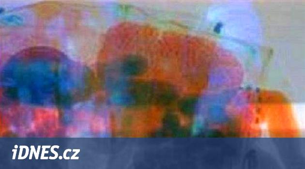 Letištní rentgen odhalil v batohu egyptských rodičů kojence - iDNES.cz