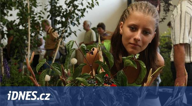 Flora se poprvé musí obejít bez „áčka“. Láká na Středomoří i dožínky ...