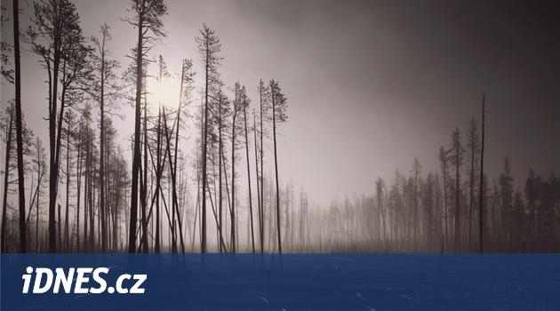 Boží mlýny. V Illinois chtějí po 55 letech vyřešit vraždu sedmileté ...