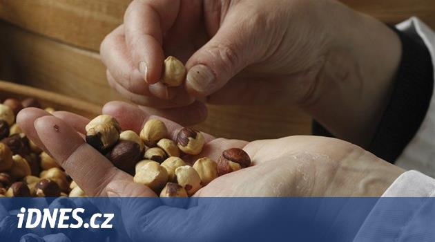 Lískových ořechů z Turecka se urodilo málo. Může za to počasí - iDNES.cz