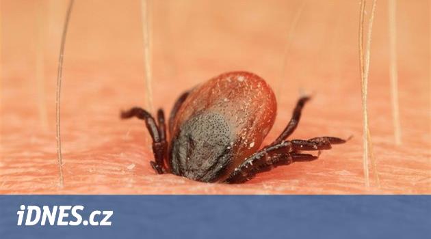 Riziko napadení klíštětem je vysoké, útočí ve stále vyšších polohách ...