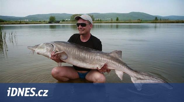 Rybář šel na kapry, dostal 180cm vyzu, největší mořskou rybu - iDNES.cz