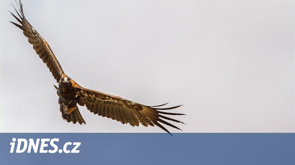 VIDEO: Proleťte se nad východní Austrálií jako orel, který natáčí videa ...