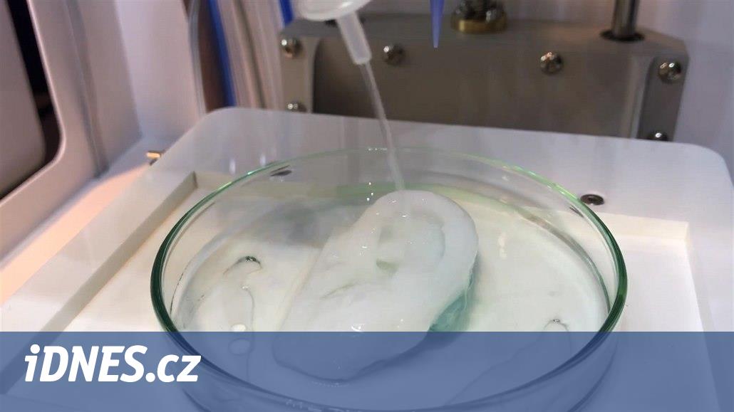 Firma umí vytisknout lidské ucho a nos, pomáhá omezit testy na ...