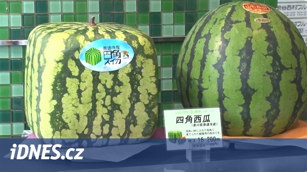Hranaté melouny v Japonsku zlevnily. Už je koupíte „jen“ za 1 500 korun ...