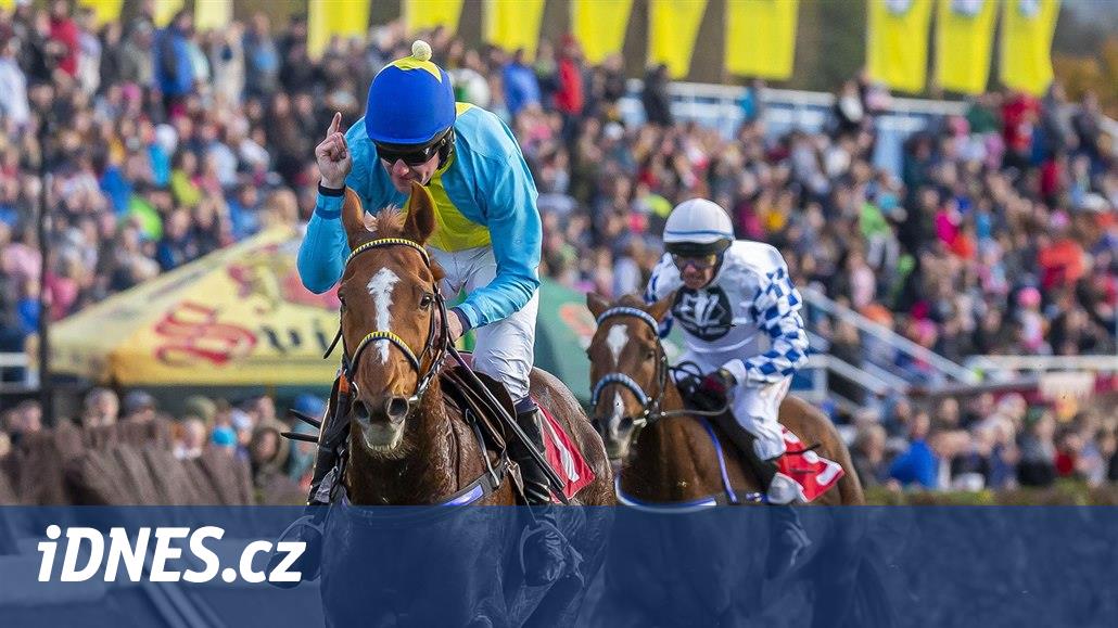 O šanci jet Velkou se utkají i dva benjamínci, ryzák Night Moon a ...