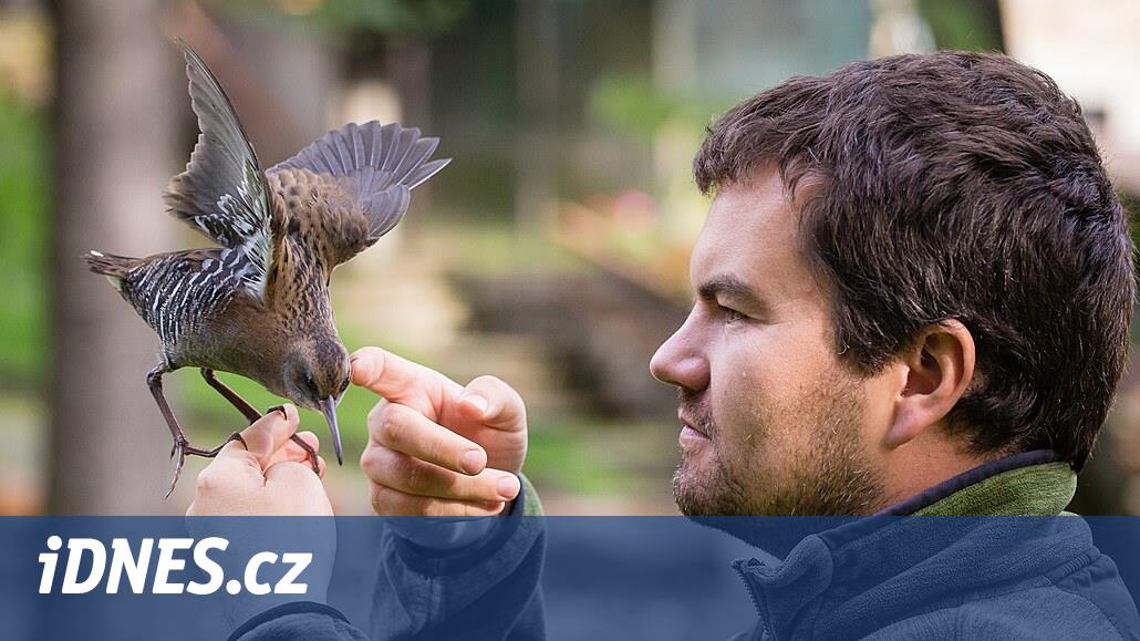 Další rekord. Záchranná stanice v Pavlově se postarala o nejvyšší počet ...