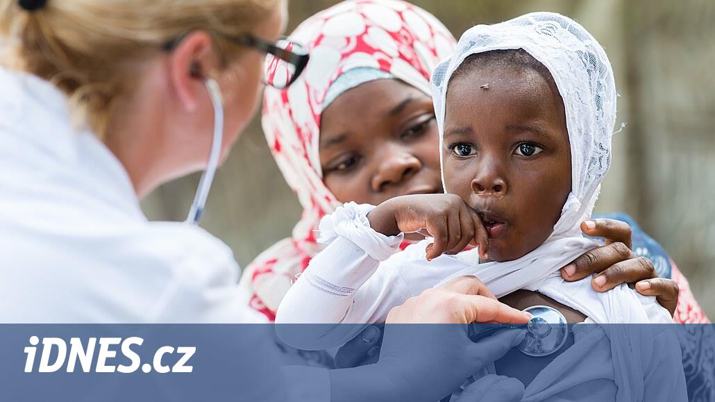 Je to malárie, potvrdili v Kongu po zvěstech o záhadné nemoci. Obětí je ...