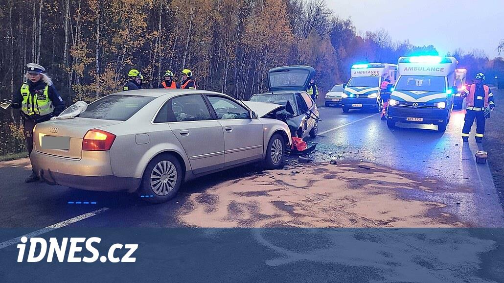 Řidič se vyhýbal srně, v protisměru narazil do auta. Jeden člověk ...