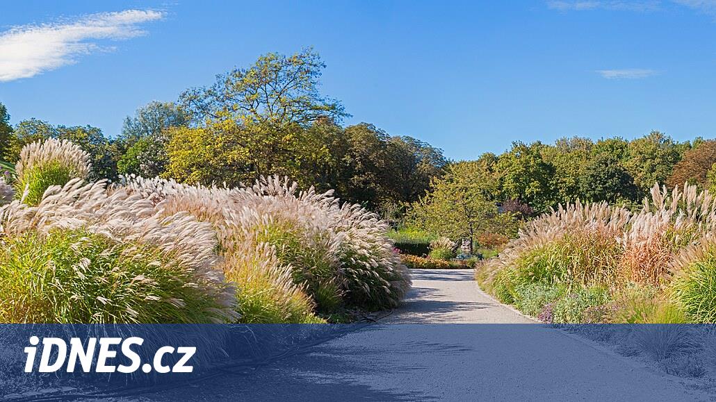 Takovou trávu, která zdobí zahradu a nemusí se sekat, prostě chcete ...