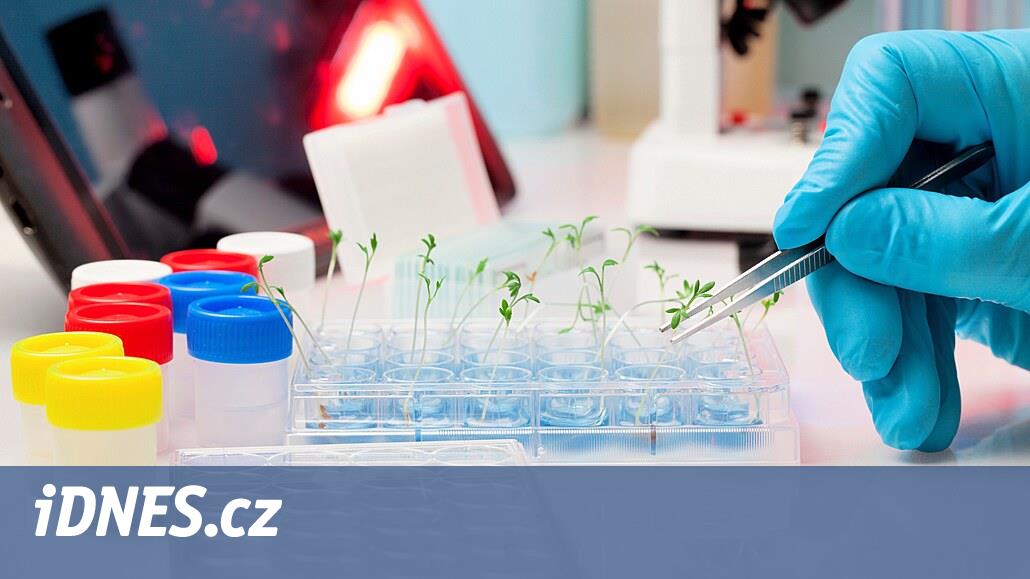 Vědci zjistili, jak pomáhat rostlinám zvládat sucho. Díky jejich ...
