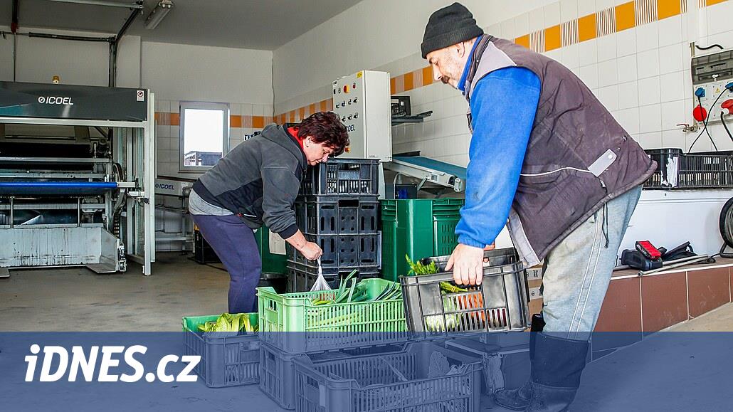 Biofarma šíří smysl udržitelnosti, handicapovaní zde pěstují v sadech ...