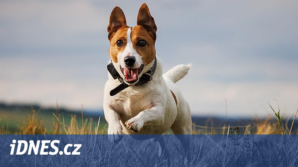 Perfektní vzpomínky z výletů? Fotograf Martin Rak ví, jak na to - iDNES.cz