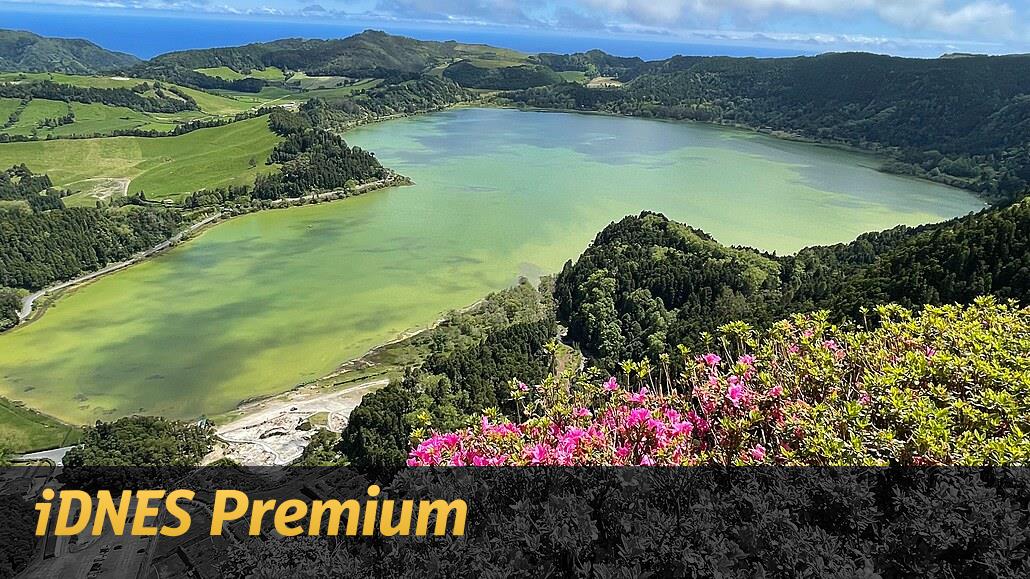 Nejsladší ananas na světě, termální jezera i obří hortenzie. Tak ...