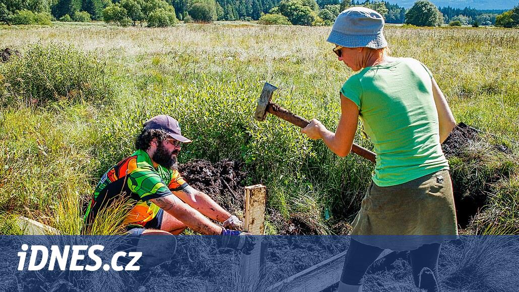 Po těžbě zůstaly v lese národního parku hluboké koleje a zničený potok ...