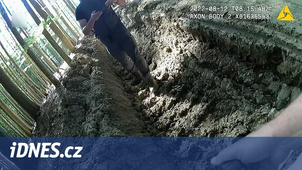 Po těžbě zůstaly v lese národního parku hluboké koleje a zničený potok ...