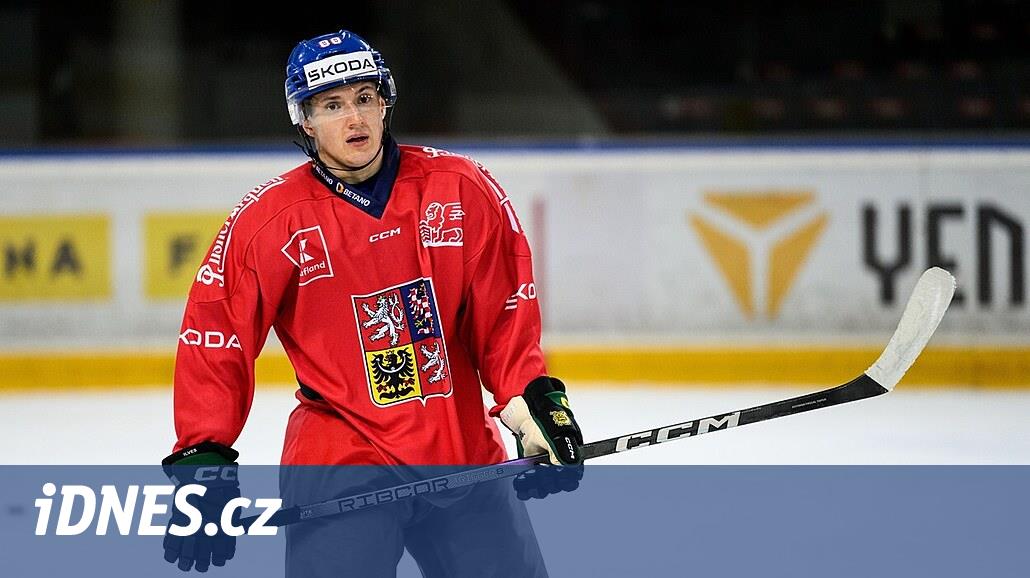 Loket do hlavy, stop na sedm zápasů. Další Kodýtkův úlet, může přijít o ...