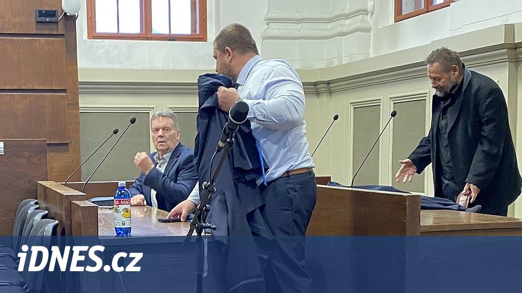 Dohody o vině a trestu jsou nezákonné kvůli chybám, tvrdí Berbrova ...
