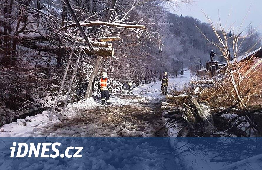 Silný vítr komplikuje dopravu, padlý strom zabil řidiče v autě. Platí výstraha - iDNES.cz