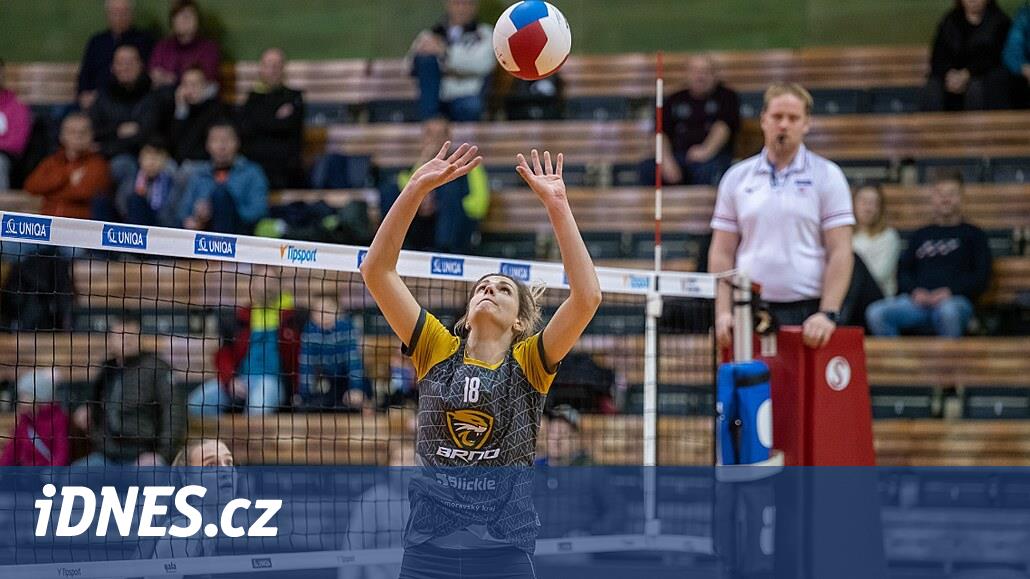 Šelmy sní o dlouhé jízdě v play off. Pomoci mají bývalé reprezentantky ...