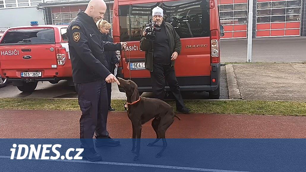 David Hynek a jeho psí parťák Darren - iDNES.cz