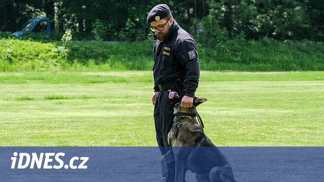 Když o vině rozhoduje pes. Pachové stopy jsou nebezpečný důkaz, volají ...