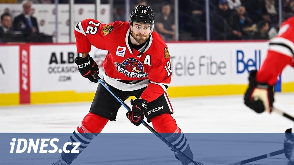 Liberec představil posily. Přicházejí Hrenák, Budík, McCoshen a Kelly ...
