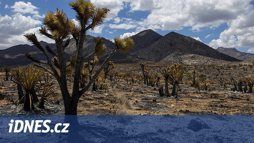 VIDEO: Mohavskou poušť spálil největší požár v zaznamenané historii ...