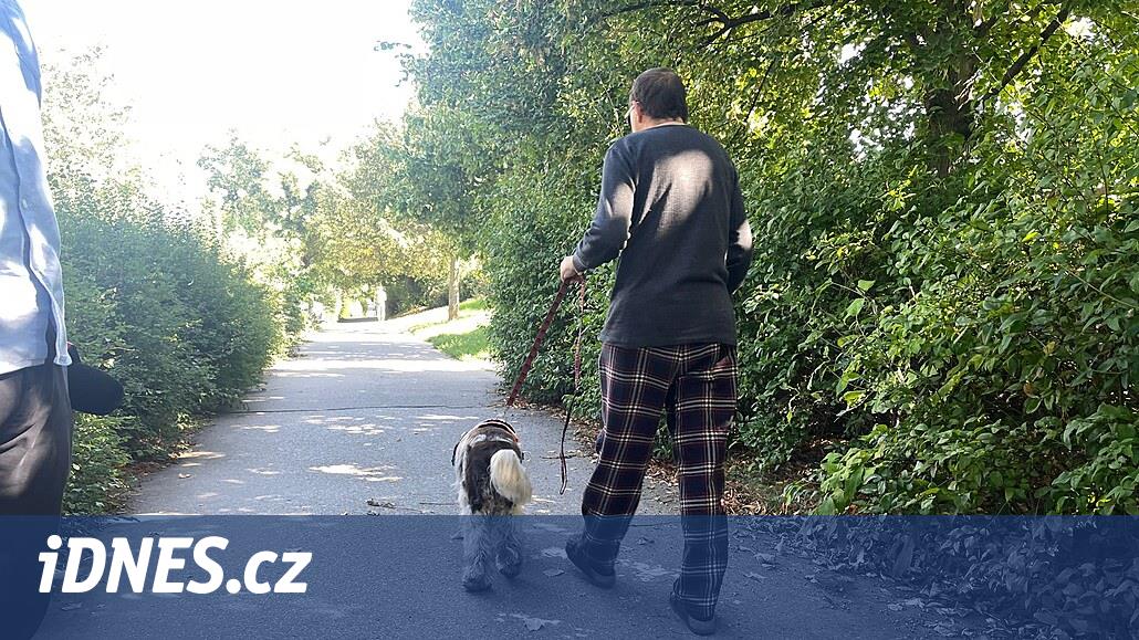 STALO SE DNES: Zloděj okradl slepce, Británie vzpomíná na královnu ...