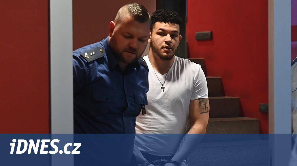 Za přepadení seniorky a útěk oknem od soudu dostal recidivista 6,5 roku vězení - iDNES.cz