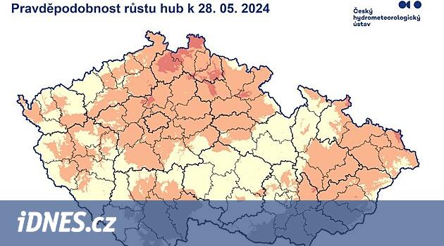Mapa: Kde rostou houby? Houbaři nosí první hřiby. - iDNES.cz