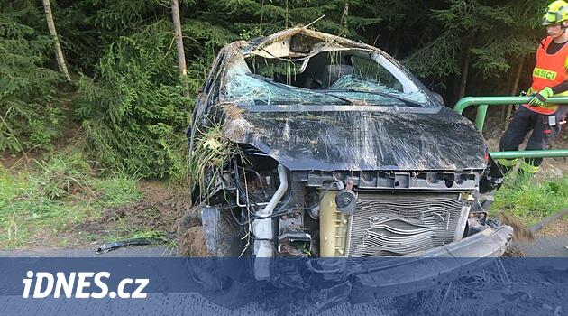 Řidička dostala žihadlo. Když odháněla vosu, převrátila vůz s dětmi na ...