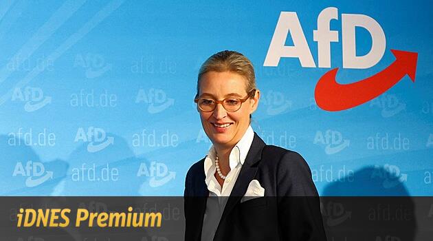 ANALÝZA: Co stojí za silnou AfD? Pět voličských poučení od východních ...