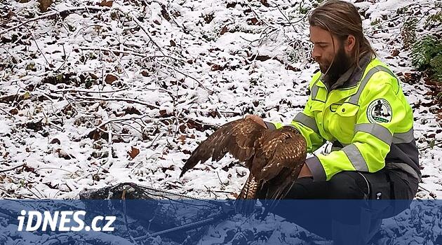 Ve Žďáře začne sloužit sběrné místo záchranné stanice pro zvířata z ...