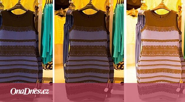 Modro-černé, či bílo-zlaté? Obyčejné šaty před deseti lety rozdělily ...