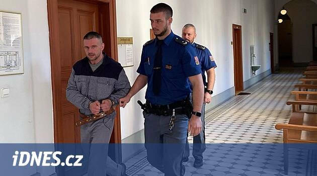 Je impulzivní a agresivní. Za postřelení třináctileté dostal narkoman 6 ...