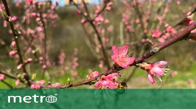 Májino údolí rozkvétá a zve k návštěvě - Metro.cz