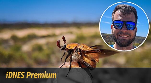 Entomolog Dominik Vondráček: Svět se bez hmyzu neobejde - iDNES.cz