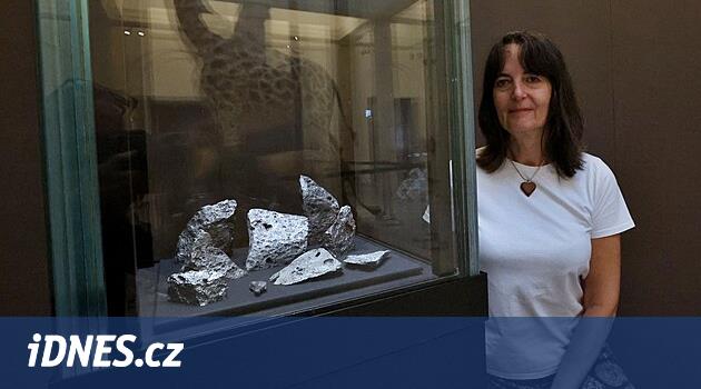 Slezské zemské muzeum vystavilo nejcennější exponát. Jde o devět ...