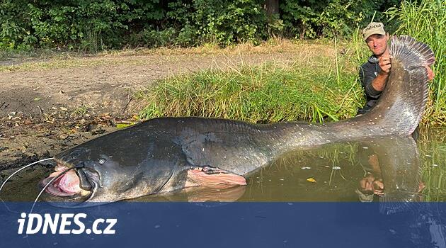 Jakub Vágner ulovil v Česku rekordního sumce - iDNES.tv