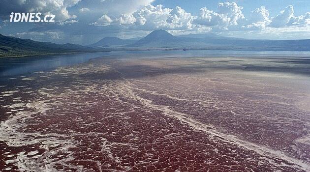 Tanzanie: Krvavé jezero Natron mění zvířata v kámen - iDNES.cz